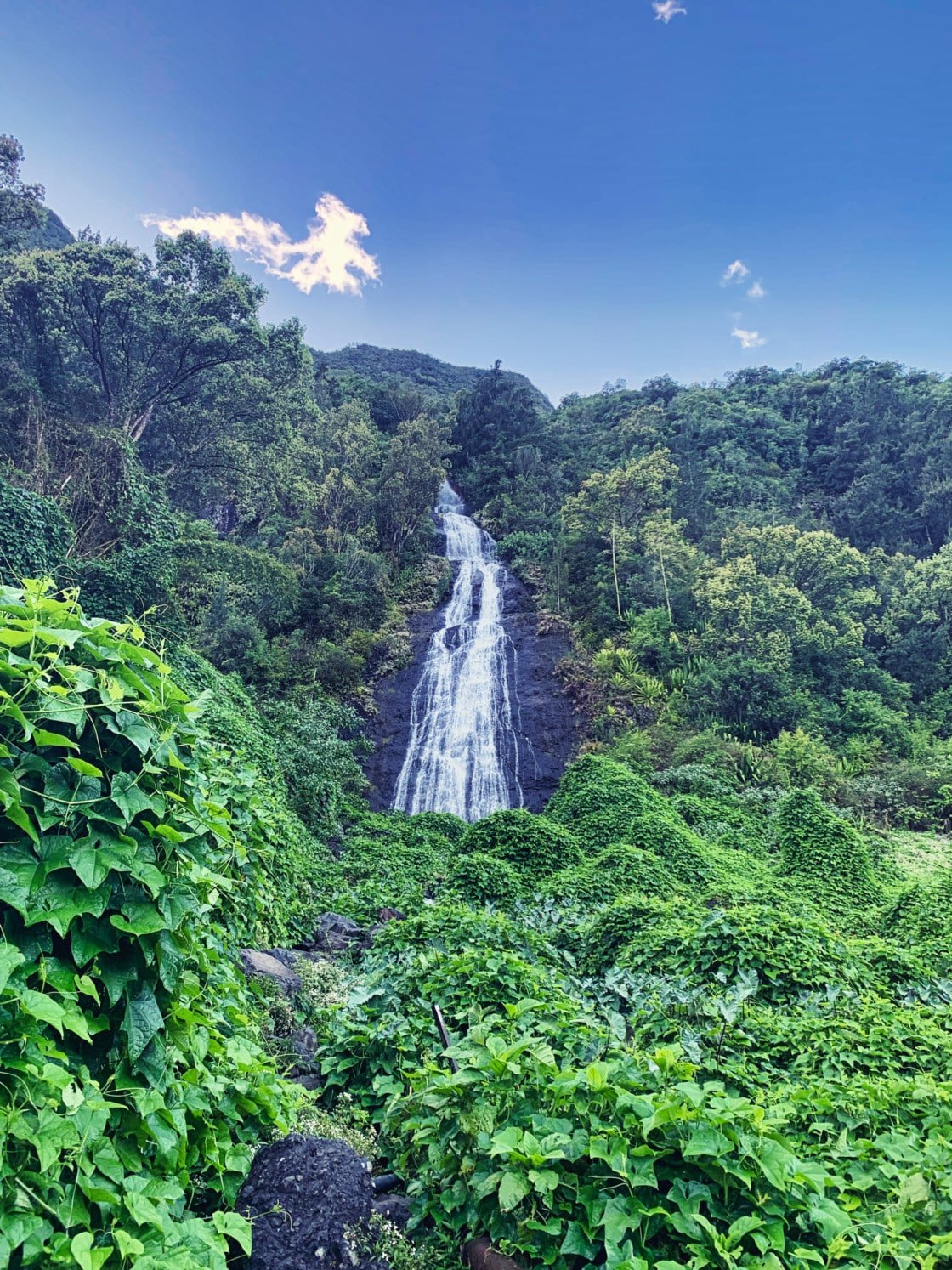 Que faire à la Réunion ? Notre Top 10 – Coconut Story