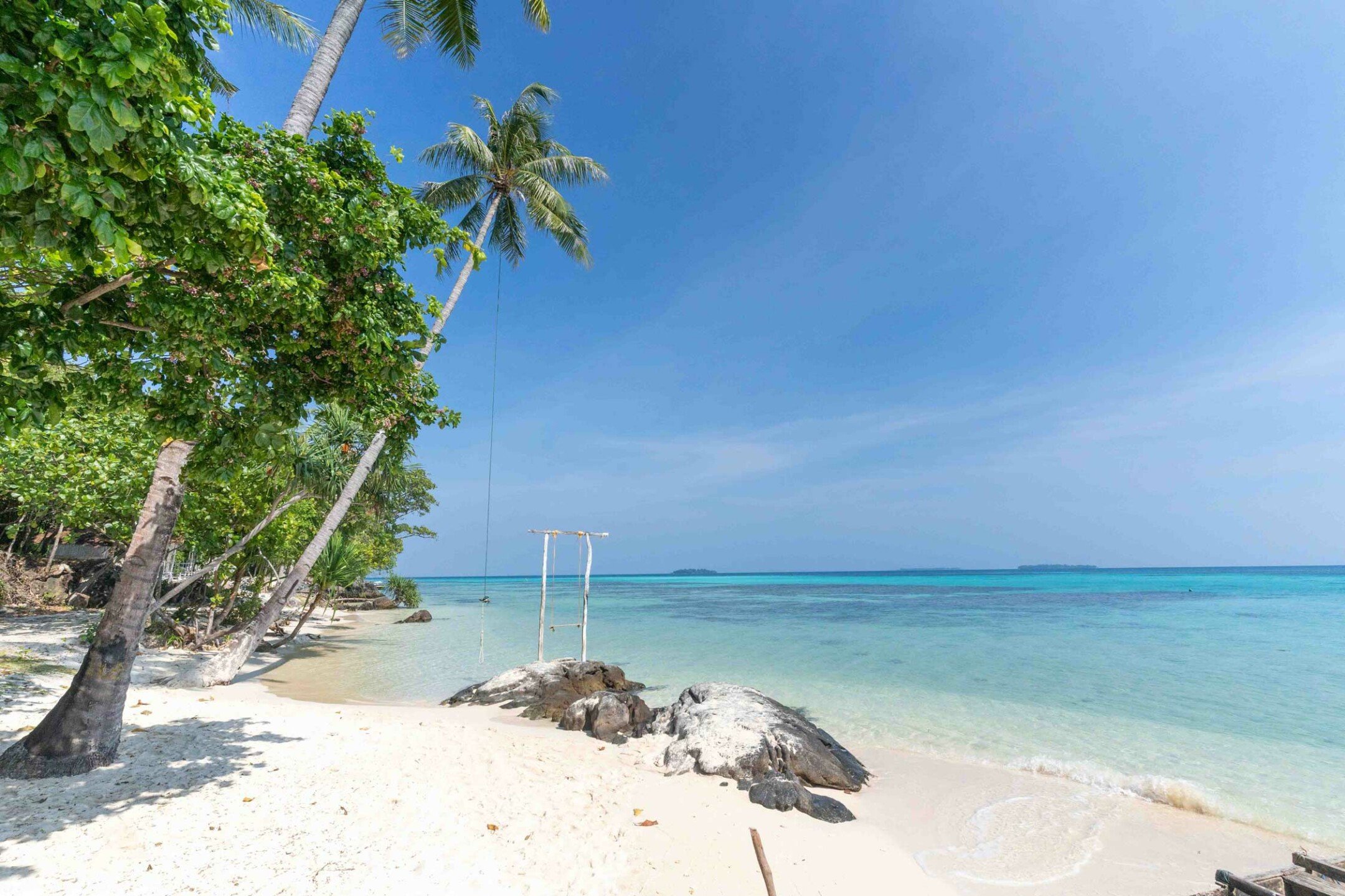 Que faire à Karimunjawa ? Guide 2024 – Coconut Story