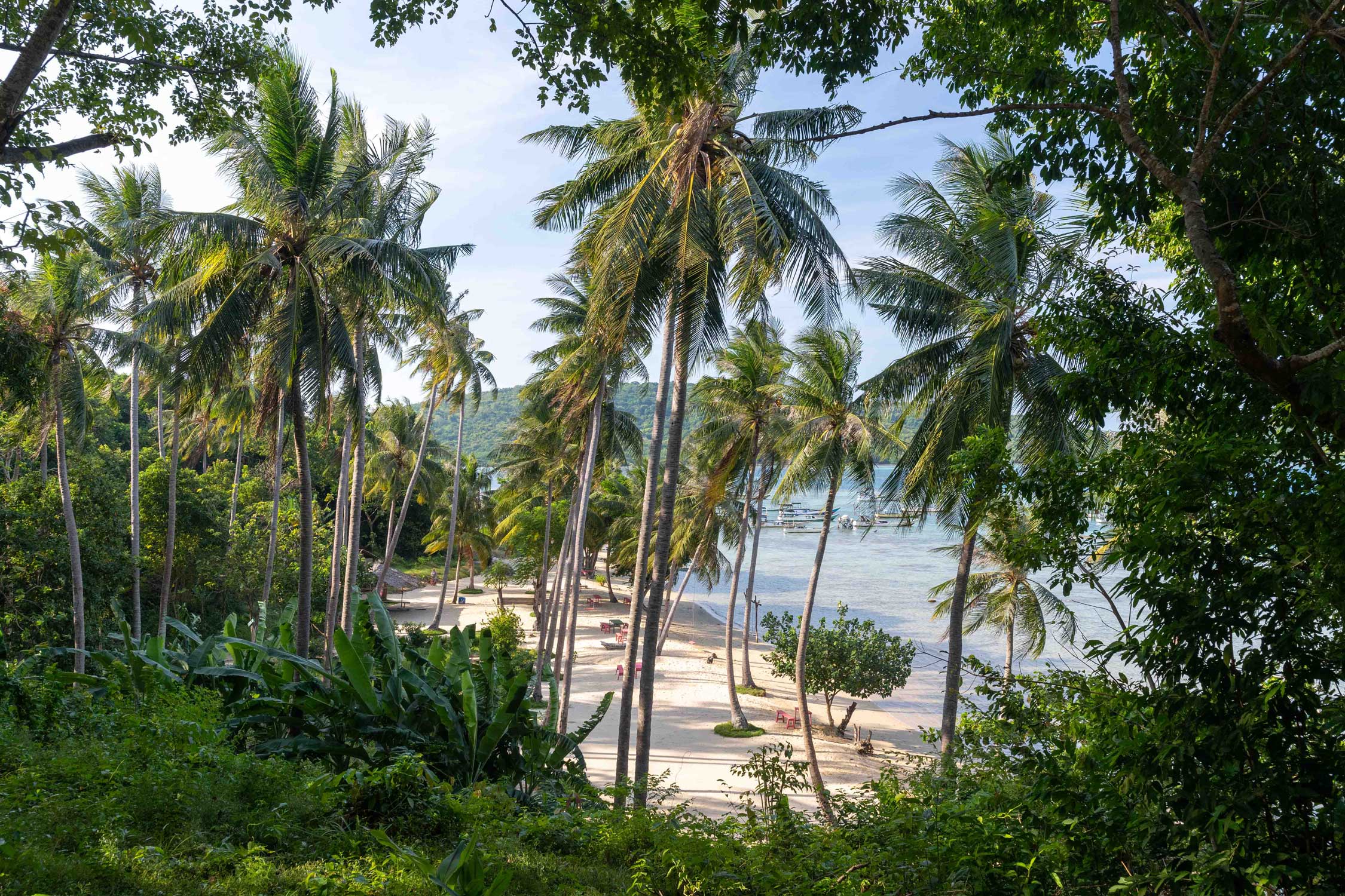 Que faire à Karimunjawa ? Guide 2024 – Coconut Story