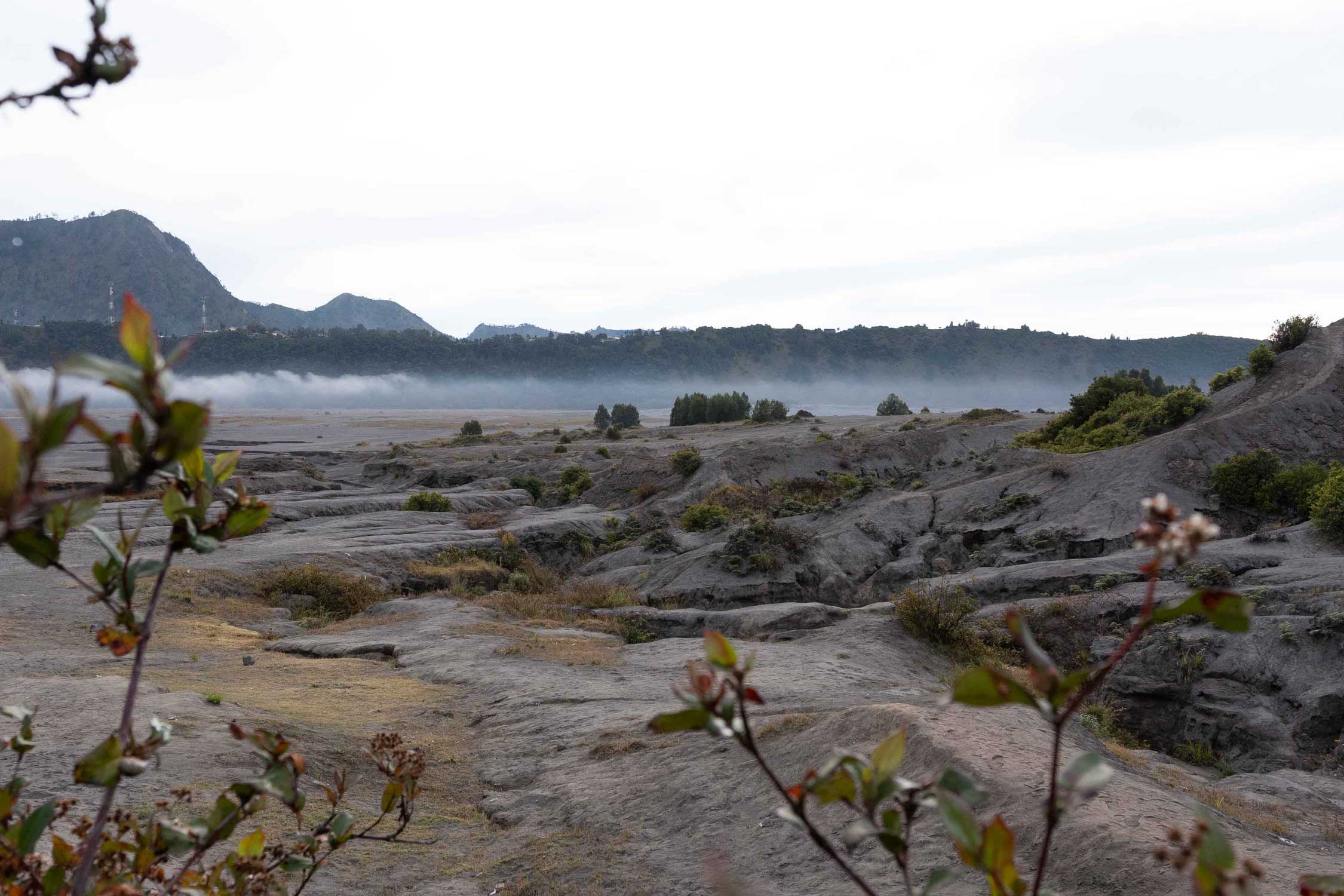 Que faire à Malang (Java) ? Guide 2023 – Coconut Story